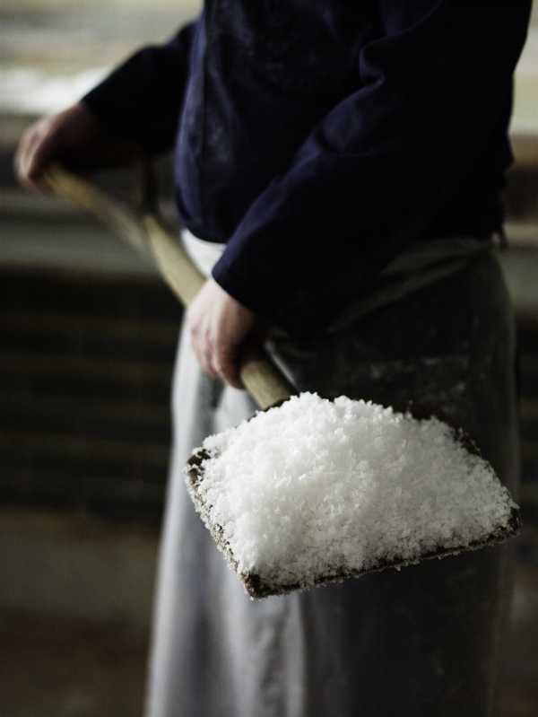 Land and sea: the history of salt and pepper | Foodism