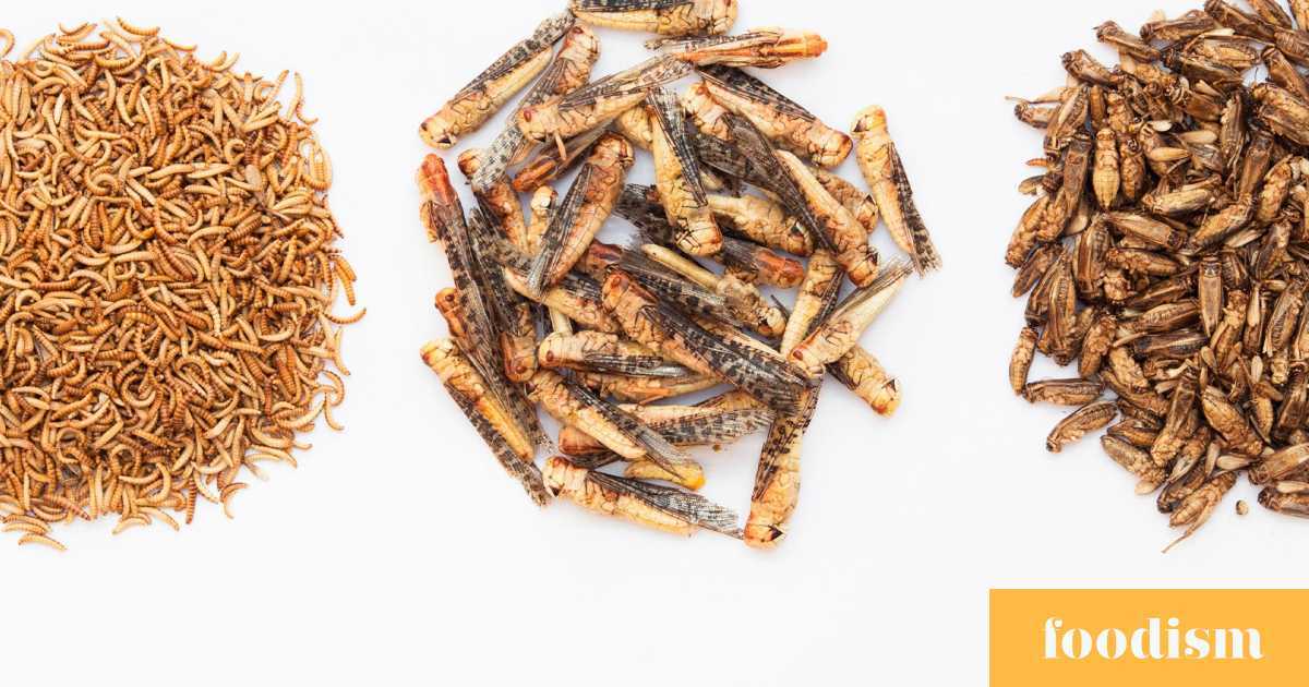 Future Food: what we'll be eating in 2020 | Foodism