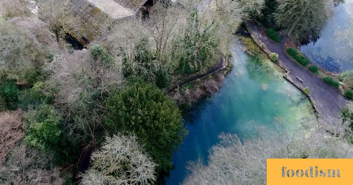 An inside look at The Silent Pool in Surrey | Foodism