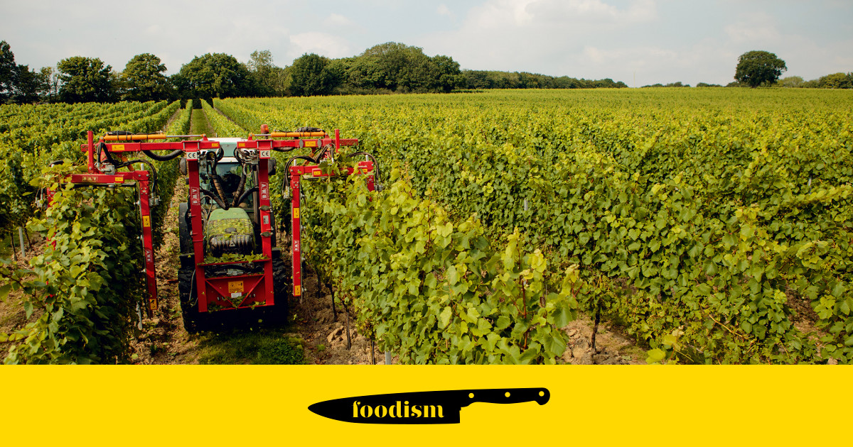 The future of wine: trend predictions from the experts | Foodism