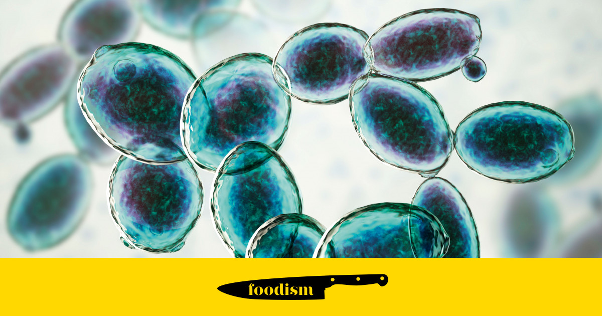 How Wild Fermentation is Changing the UK Food Scene | Foodism