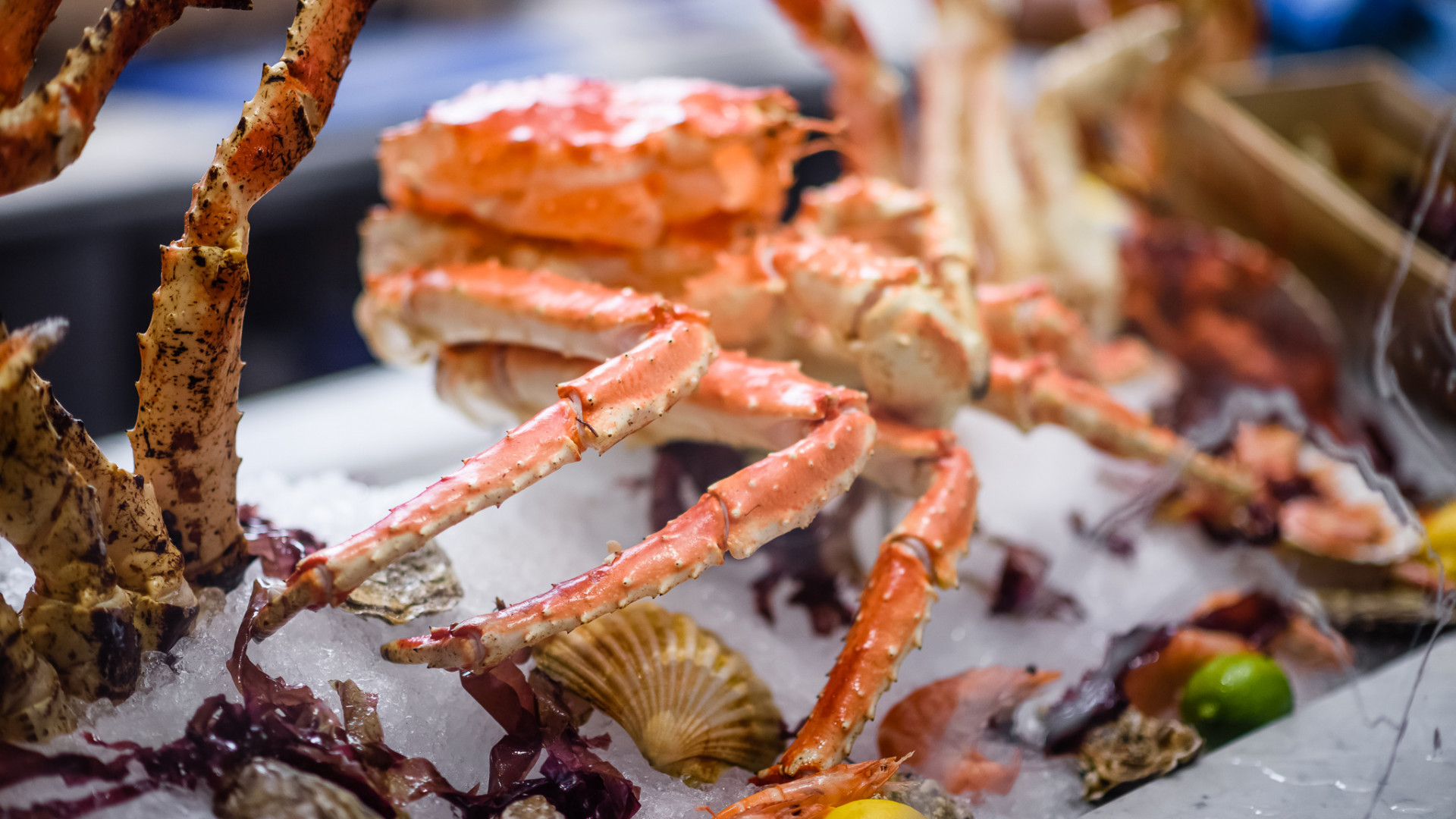 The most 'extra' restaurants to eat and drink at in London | Foodism