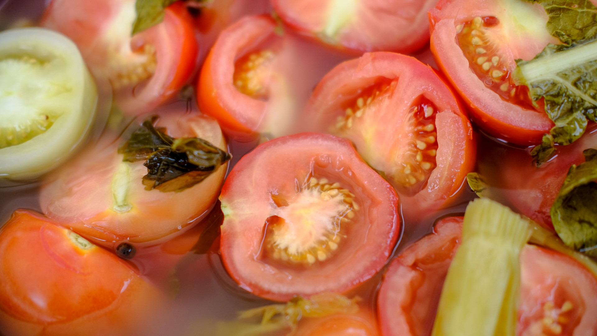 How Wild Fermentation is Changing the UK Food Scene | Foodism