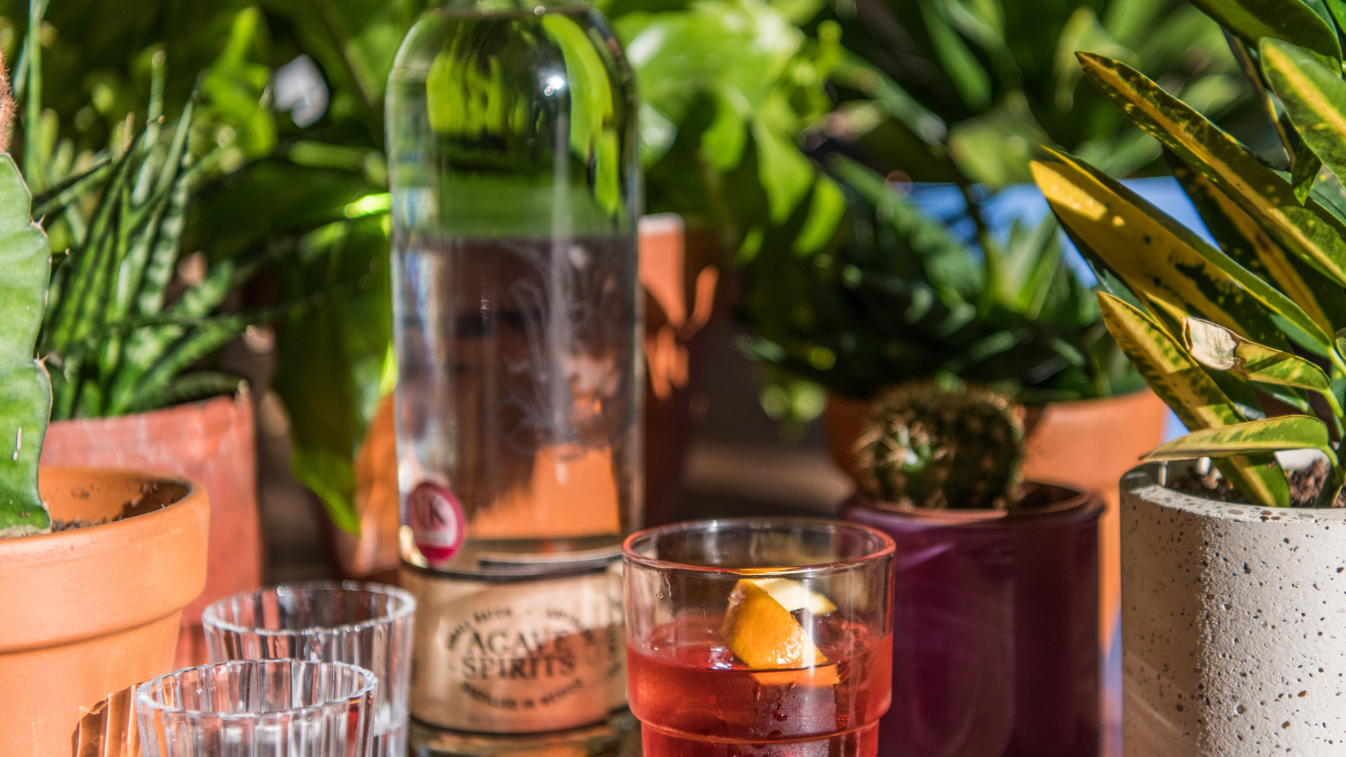 Sin Gusano mezcal tasting room and bottle shop | Foodism