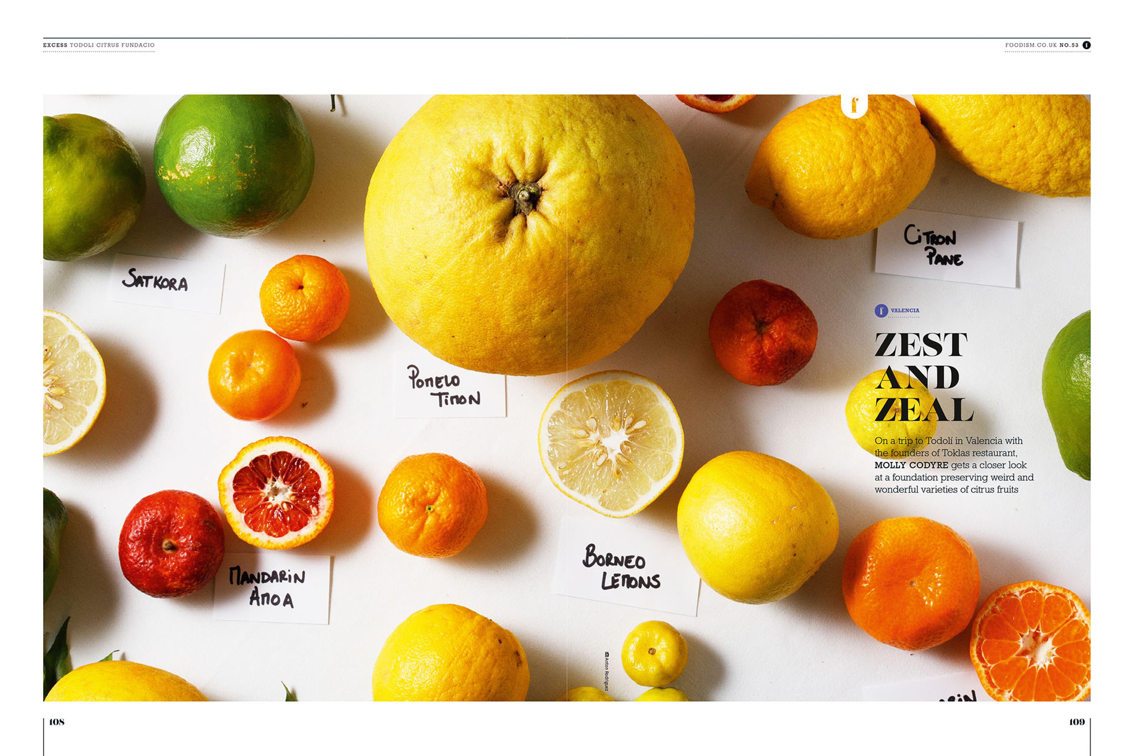 Read the magazine | Foodism