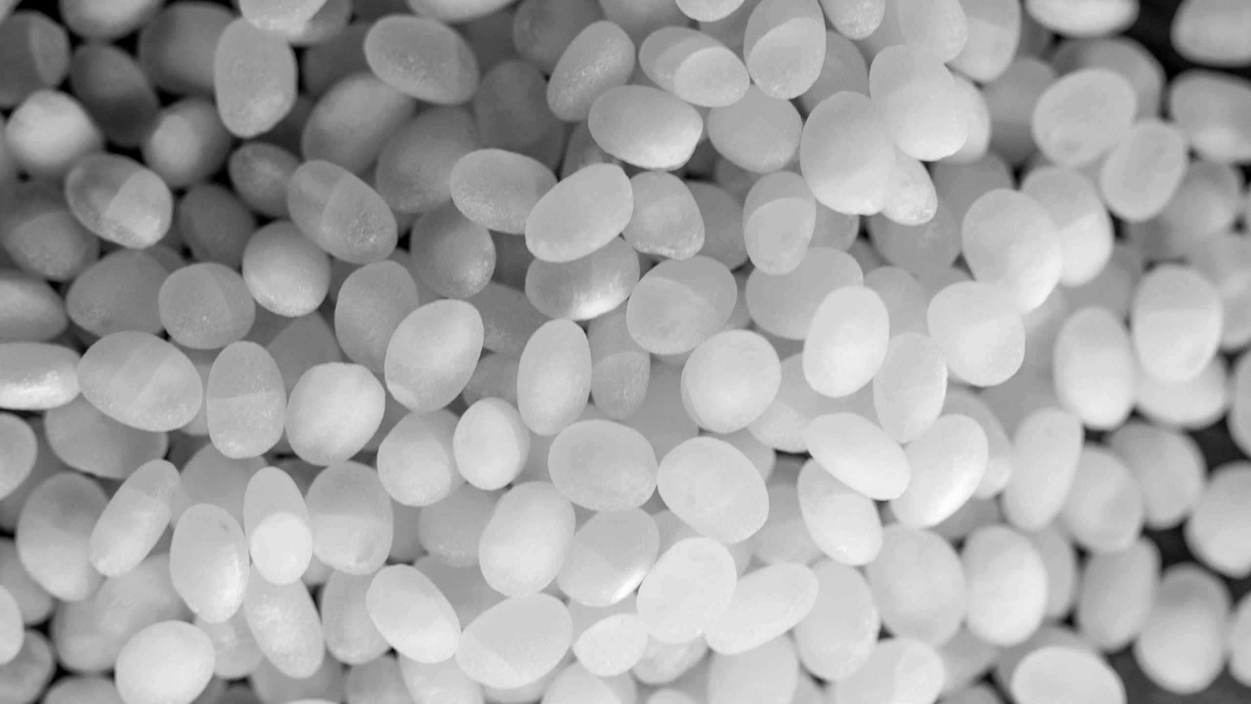 Demystifying sake: a look inside Japan's artisanal breweries | Foodism