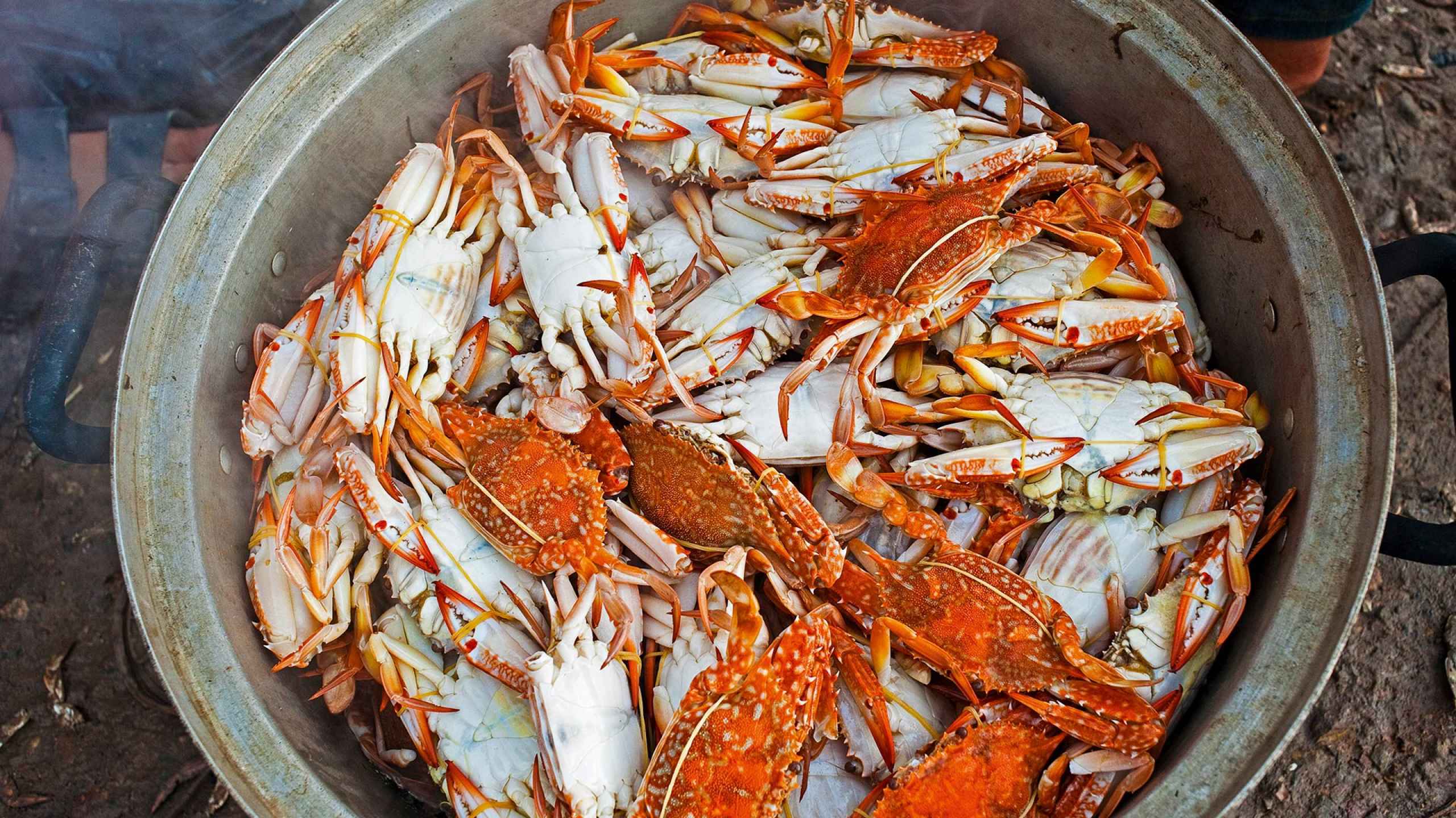 Crabs in Cambodia: why Kep is a go-to crustacean destination | Foodism