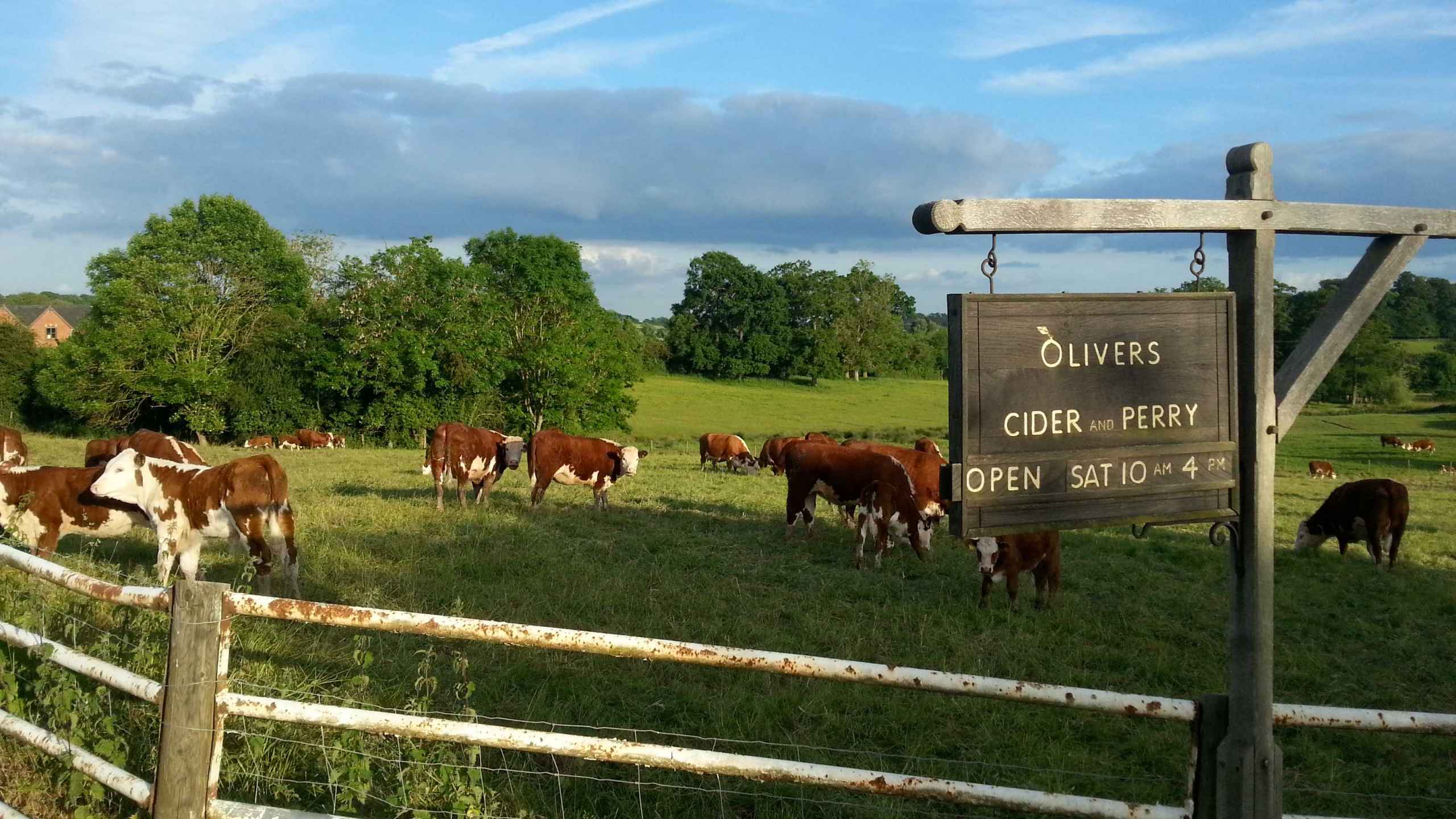 How Wild Fermentation is Changing the UK Food Scene | Foodism