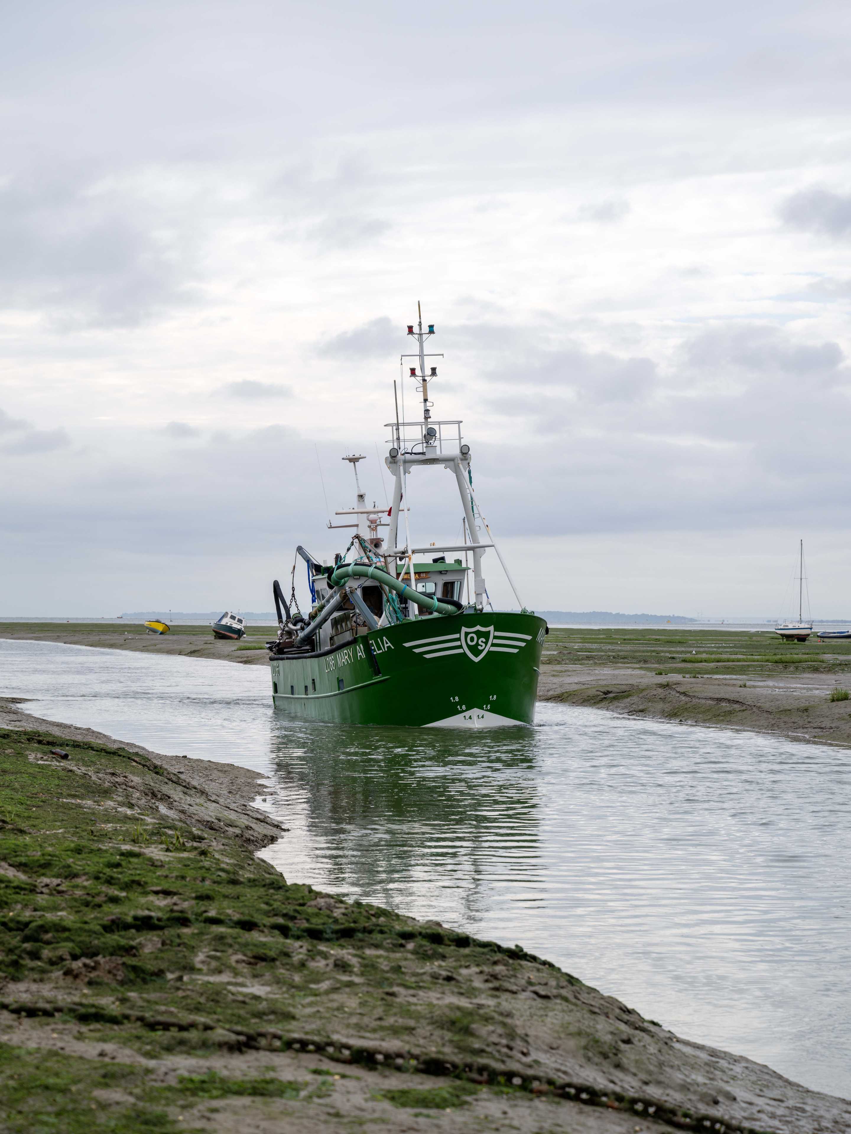 The history and revival of British cockles | Foodism